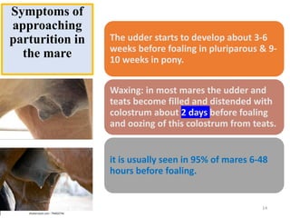 SYMPTOMS OF APPROACHING PARTURITION..pdf