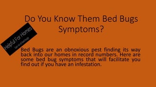 Symptoms of Bedbugs | PPT