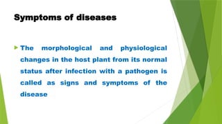 Plant pathology - Symptoms of diseases.pptx