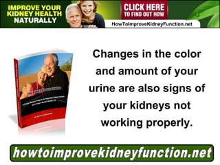 Symptoms Of Kidney Problems - Part1 | PPT