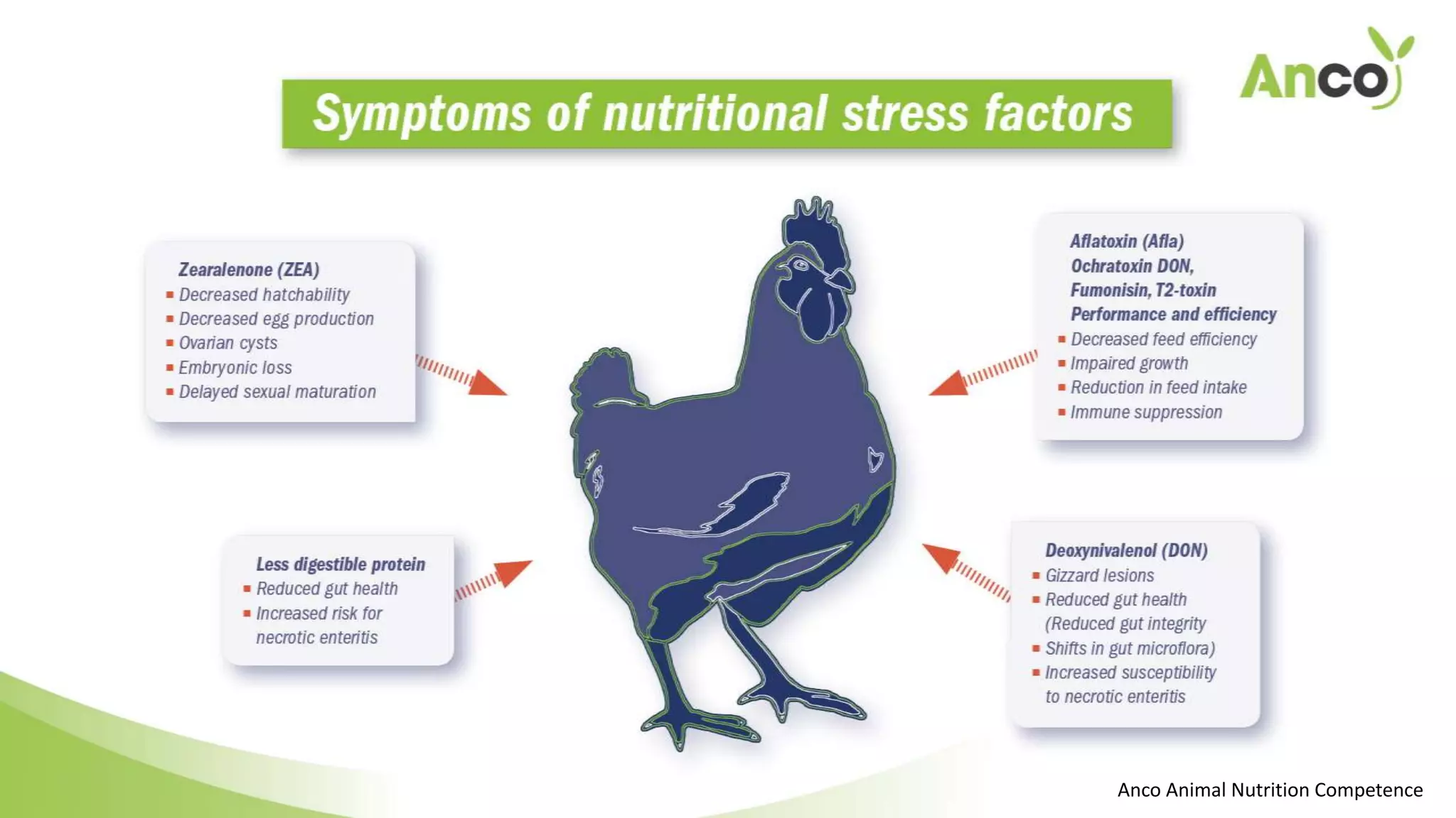 Identifying symptoms of nutritional stress factors in animals | PPTX