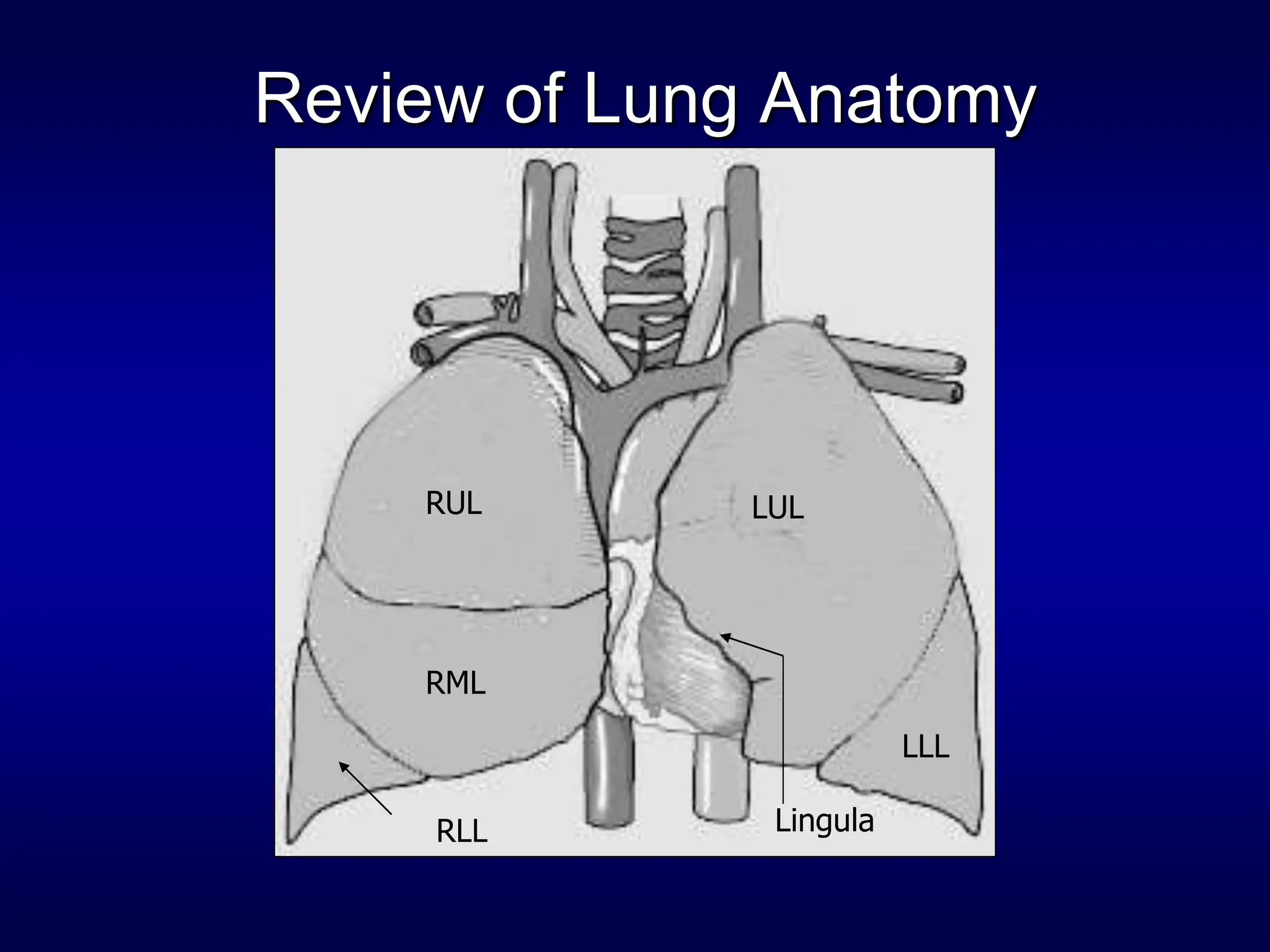Common Symptoms of pulmonary diseases1.ppt