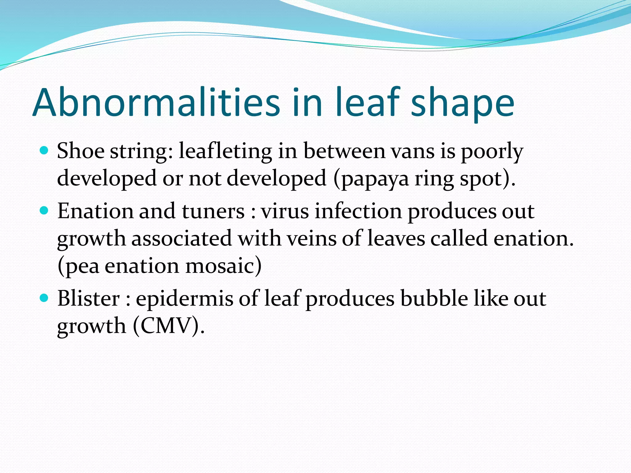 Symptoms of plant viruses | PPTX