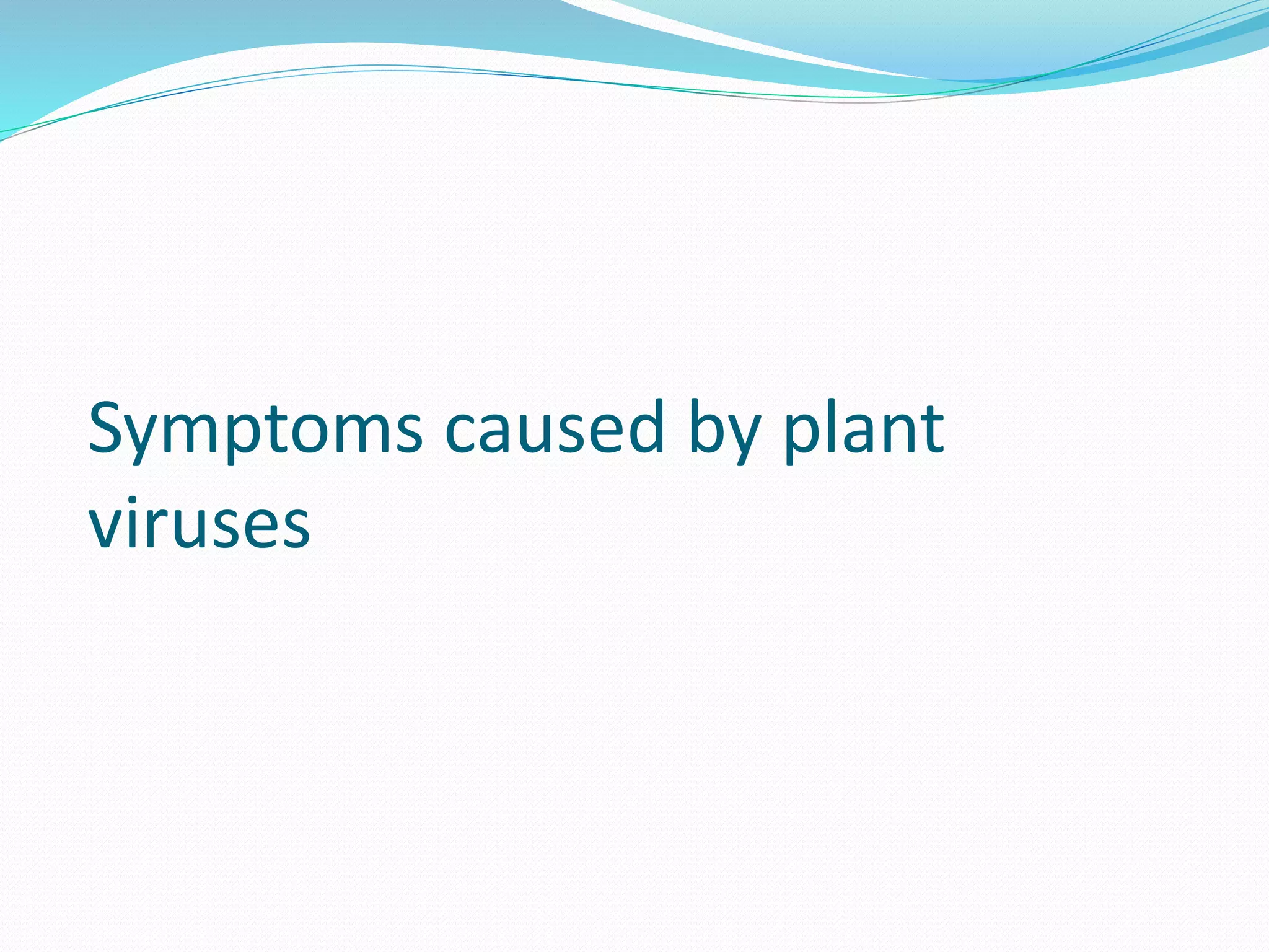 Symptoms of plant viruses | PPTX
