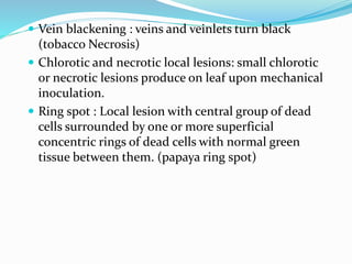 Symptoms of plant viruses | PPTX