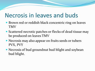 Symptoms of plant viruses | PPTX