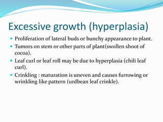 Symptoms of plant viruses | PPTX