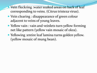 Symptoms of plant viruses | PPTX