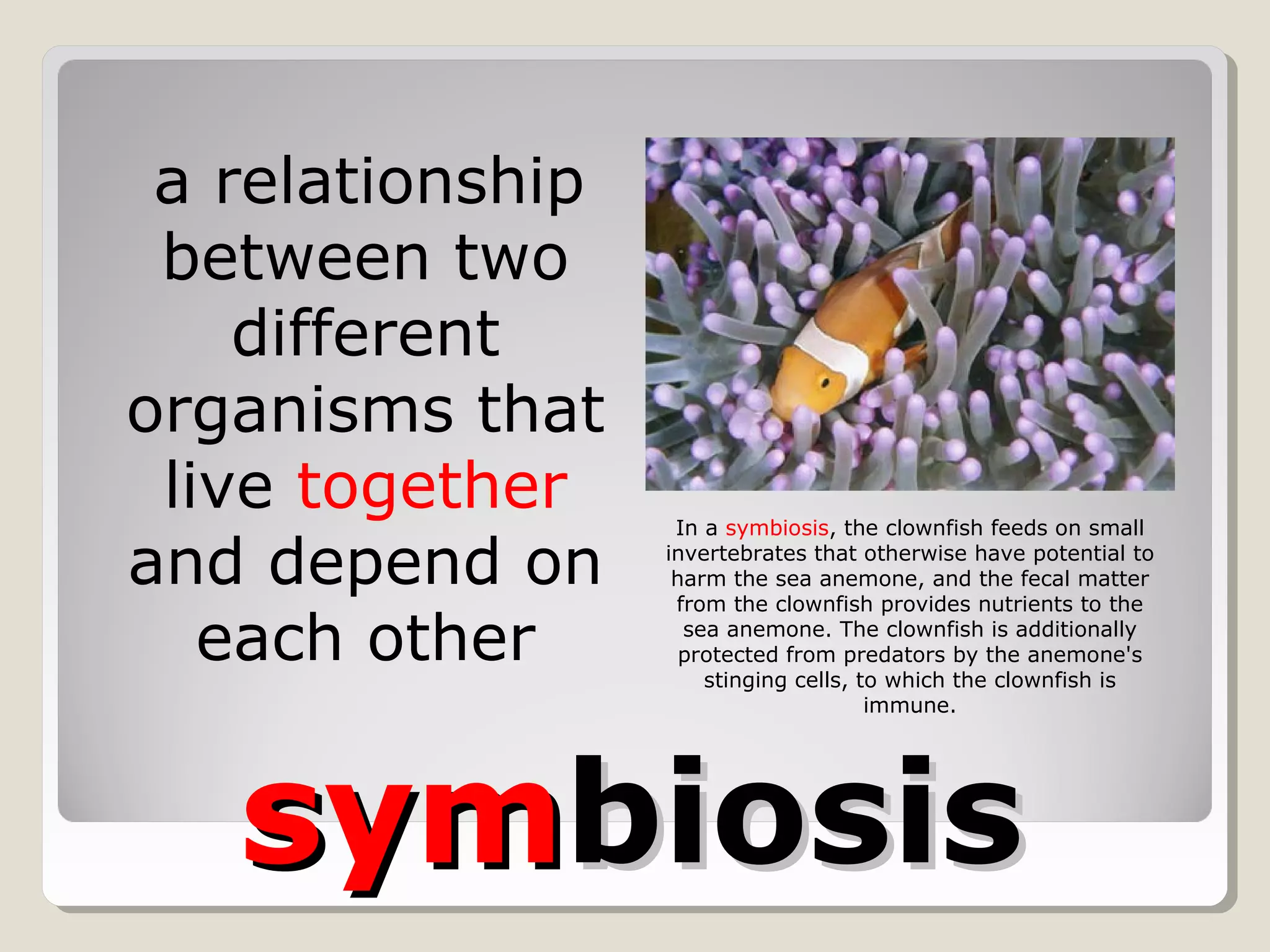 Sym syn vocabulary_words | PPT