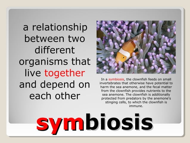 Sym syn vocabulary_words | PPT