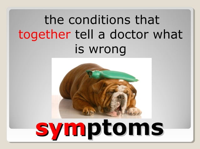Sym syn vocabulary_words | PPT