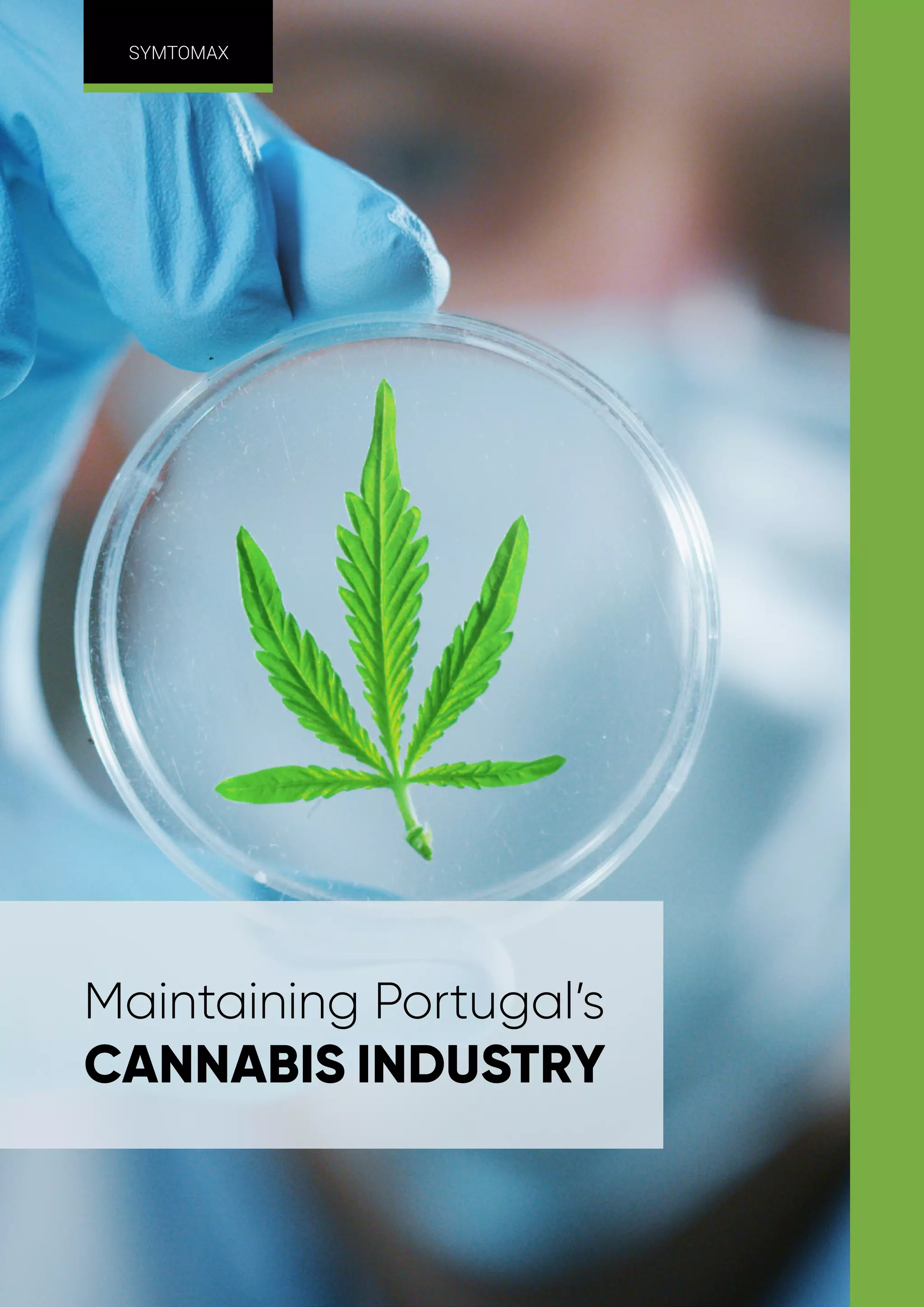 Infarmed: Maintaining Portugal’s Cannabis Industry | PDF