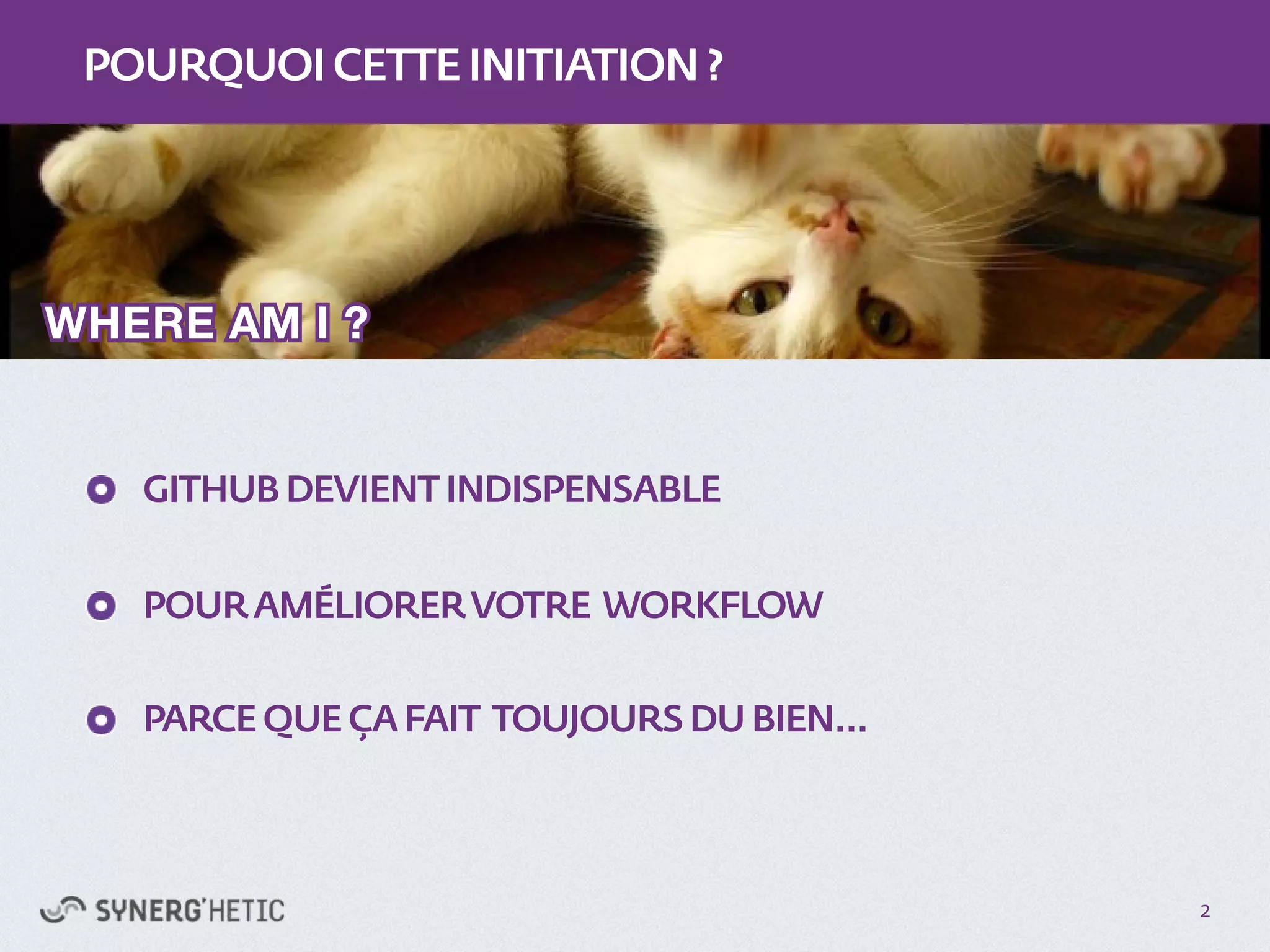 Synerghetic-Initiation_Github | PPT
