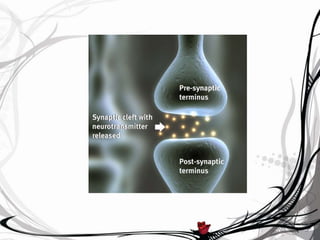 Synapic transmission | PPTX