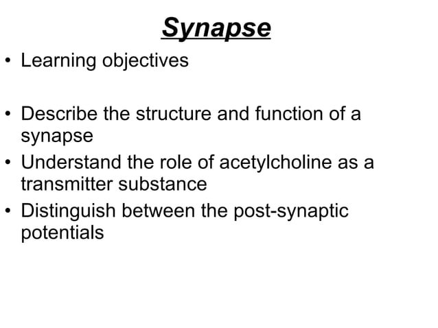 Synapse | PPT