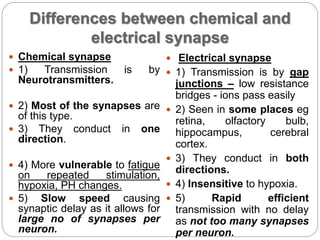 Electrical Vs Chemical Synapse