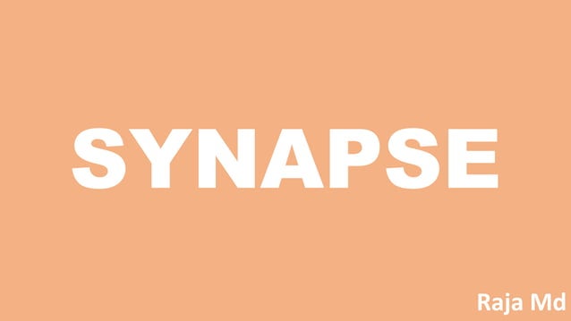 Synapse | PPT