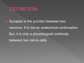 Synapse | PPTX
