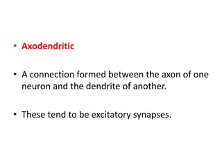 SYNAPSE.pptx 2 Synapse.pptx for 1sy year physiology | PPT | Free Download