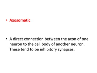 SYNAPSE.pptx 2 Synapse.pptx for 1sy year physiology | PPT | Free Download