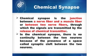 SYNAPSE, IT'S CLASSIFICATION & FUNCTIONS.pptx