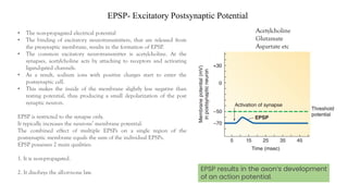 synapse types and classification and .pdf