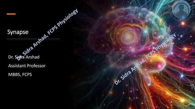 The Physiology of Central Nervous System - Synapse | PDF