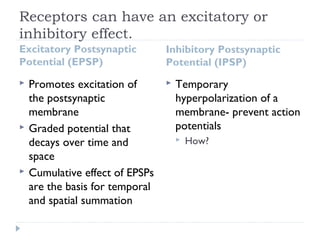 Synapse1 | PPT | Chemistry | Science