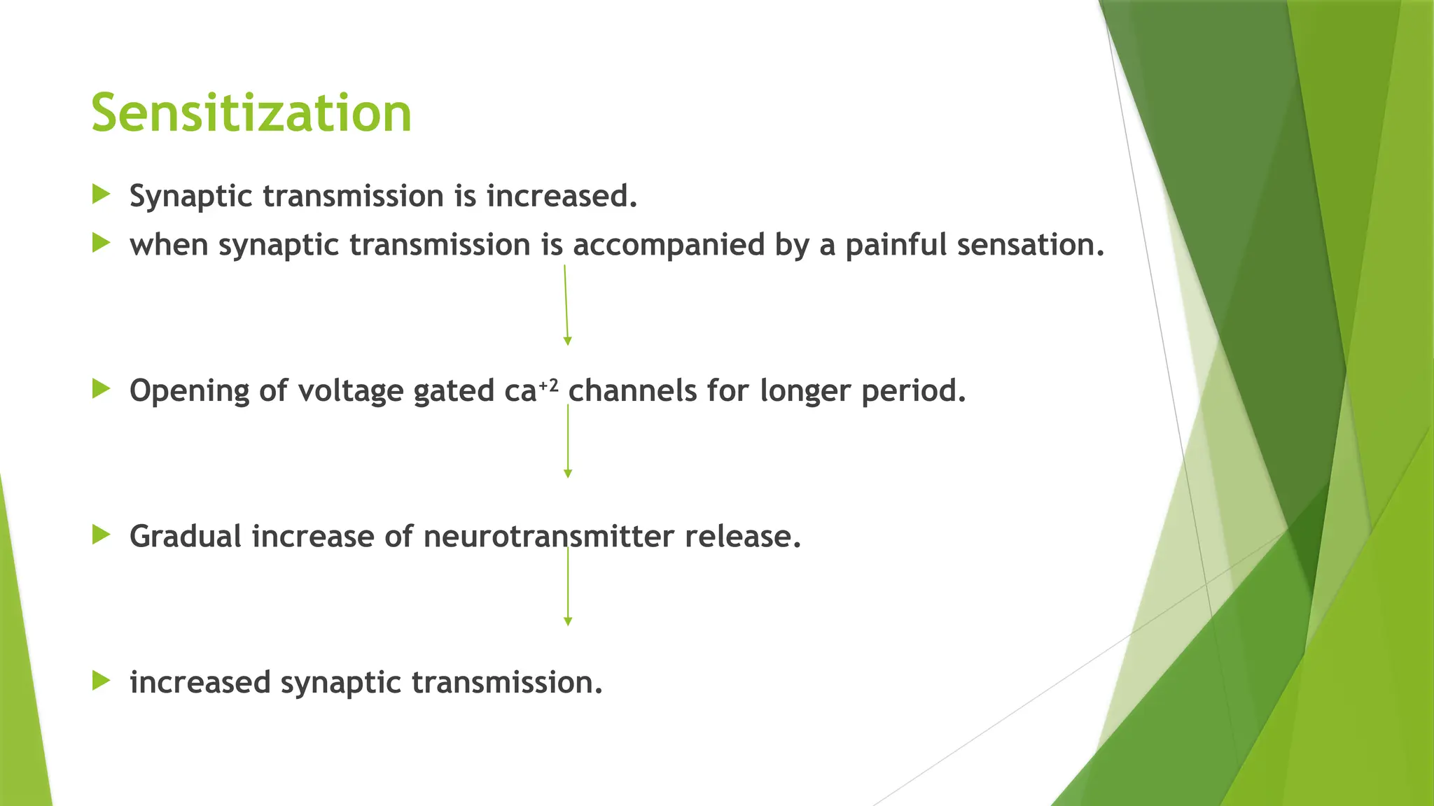 SYNAPSE AND ITS PROPERTIES AND DETAILED OVERVIEW | PPTX