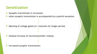 SYNAPSE AND ITS PROPERTIES AND DETAILED OVERVIEW | PPTX
