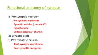 SYNAPSE AND ITS PROPERTIES AND DETAILED OVERVIEW | PPTX
