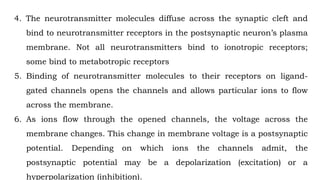 SYNAPSE AND NEUROTRANSMITTERS (Nervous System).pptx
