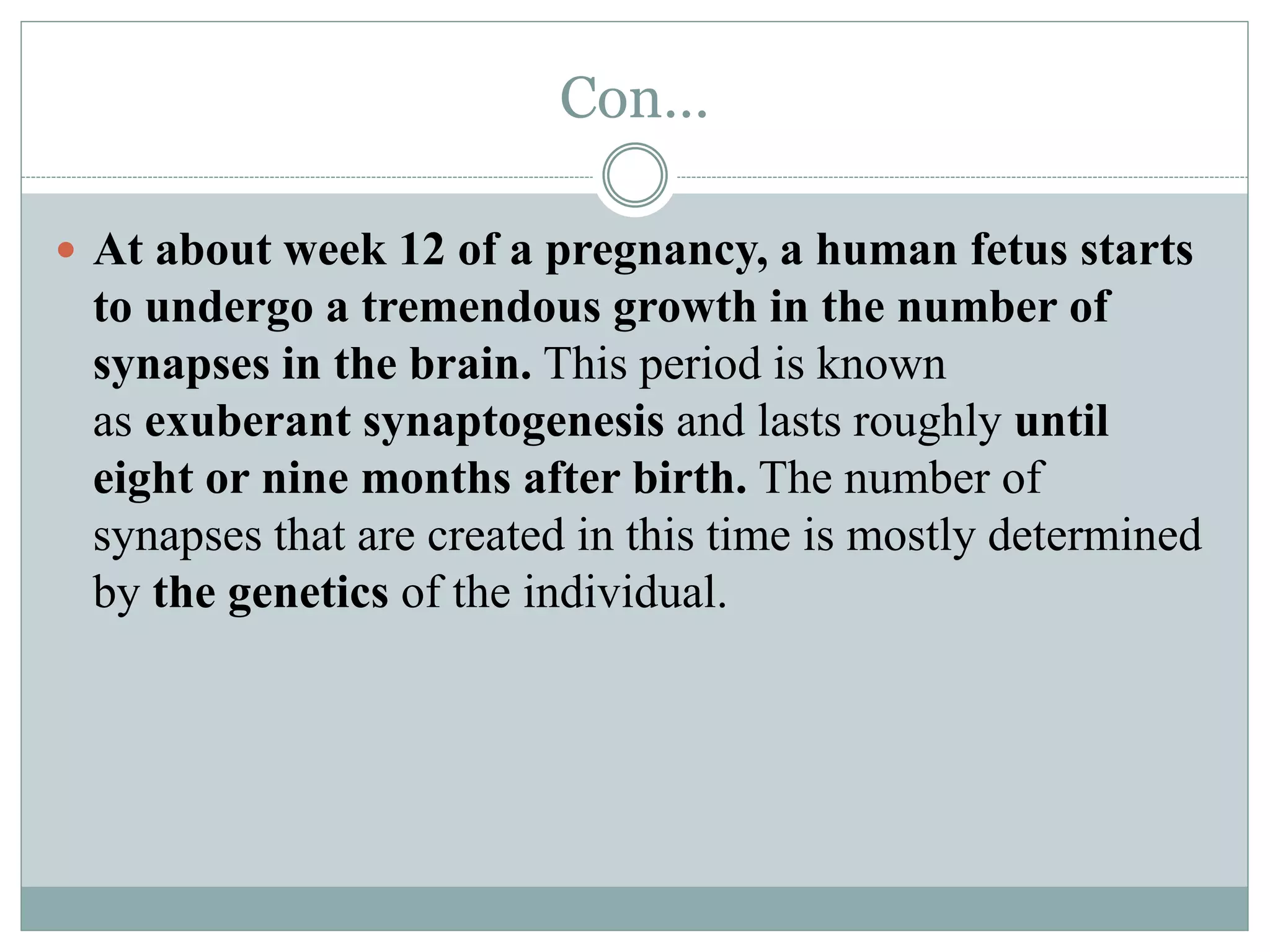 SYNAPSE GENISIS.pptx