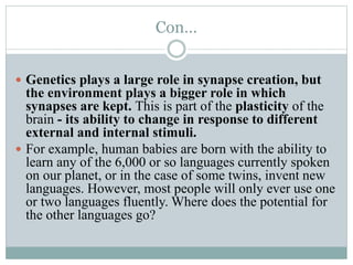 SYNAPSE GENISIS.pptx