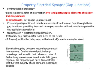 Synapse miltan chowdhury | PPTX