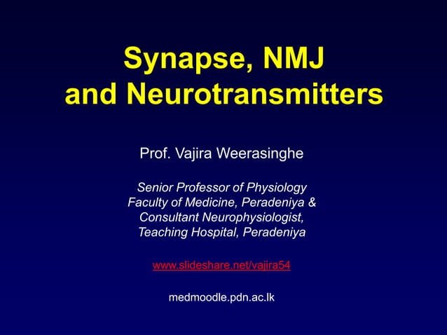Synapse nmj y1 s1 2020 slides | PPT
