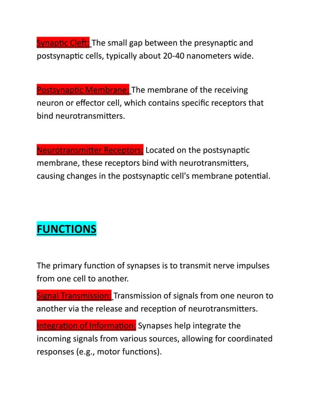 INTRODUCTION OF SYNAPSE ANATOMICAL TYPES OF SYNAPSE | PDF