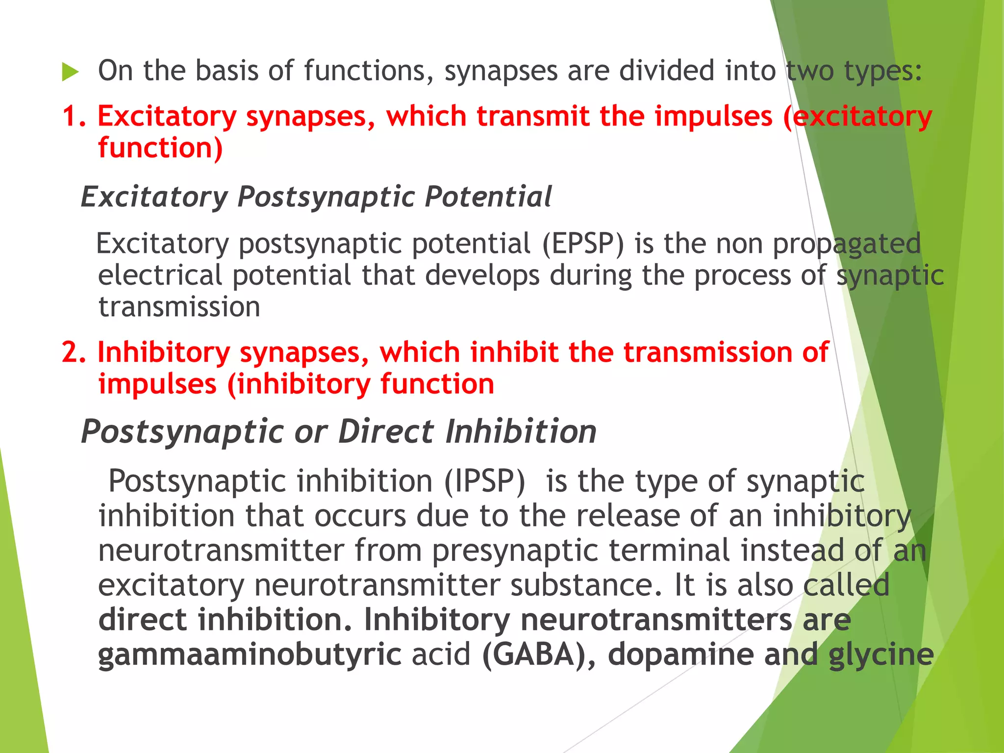 Synapses | PPTX
