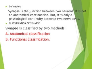 Synapses | PPTX