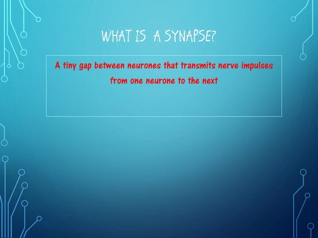 Synapses | PPT