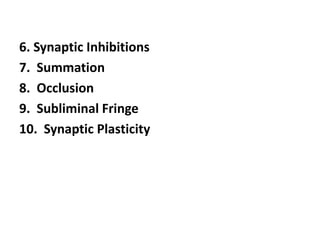 Synapses akriti | PPTX