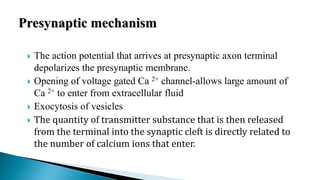 synaptic-transmission-compressed.pdfffff | PPT