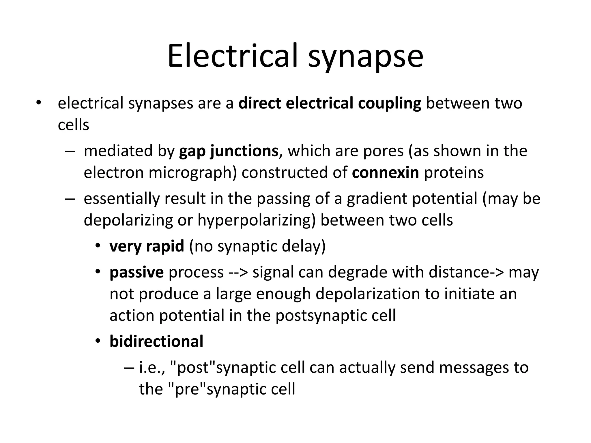 Synaptic integration, Types of synapses, EPSP and IPSP | PPTX