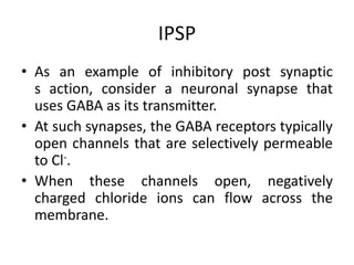 Synaptic integration, Types of synapses, EPSP and IPSP | PPTX