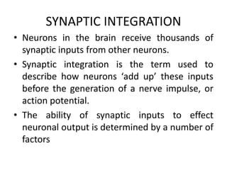 Synaptic integration, Types of synapses, EPSP and IPSP | PPTX