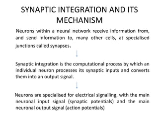 Synaptic integration, Types of synapses, EPSP and IPSP | PPTX