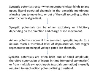 Synaptic integration, Types of synapses, EPSP and IPSP | PPTX