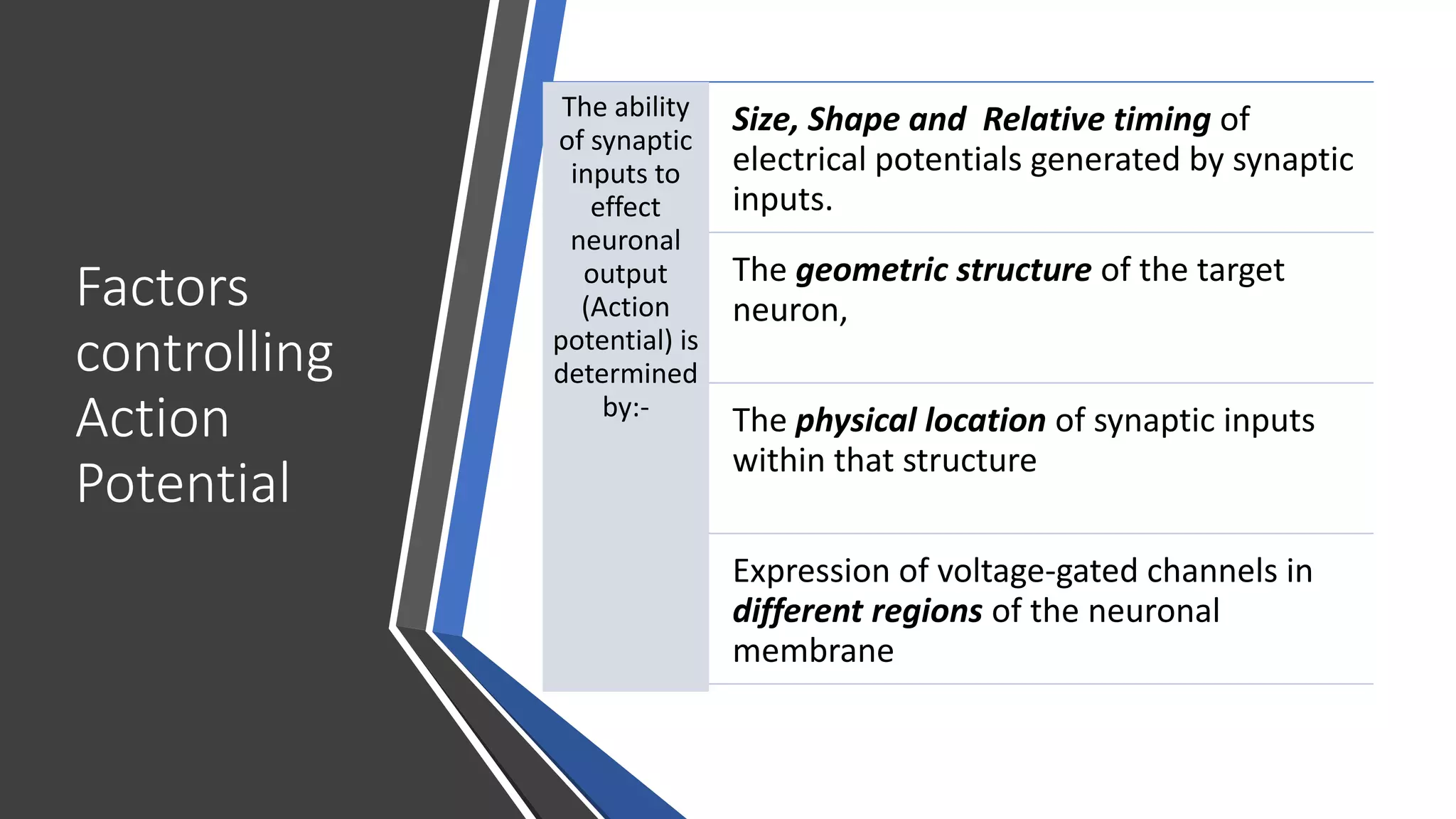 Synaptic integration & Synaptic Potential | PDF