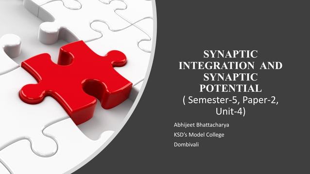 Synaptic integration & Synaptic Potential | PPT Synaptic integration & Synaptic Potential | PPT