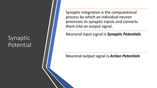 Synaptic integration & Synaptic Potential | PDF